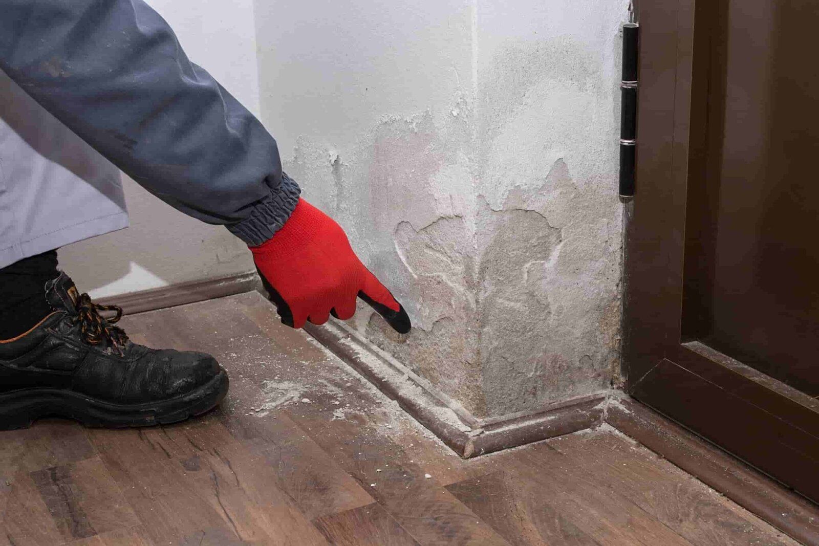 soluciones contra humedad en muros | Tratamientos y prevención